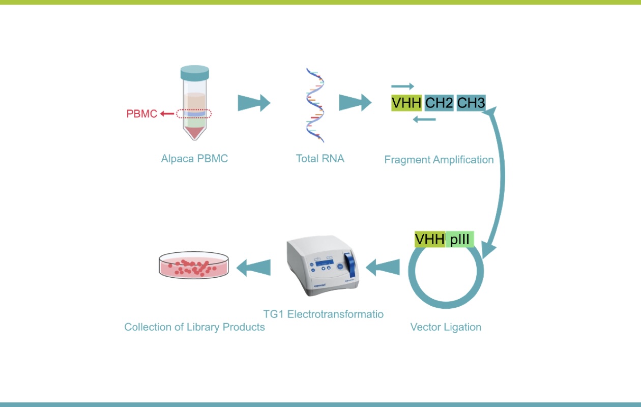 纳博生命科技-NBLST